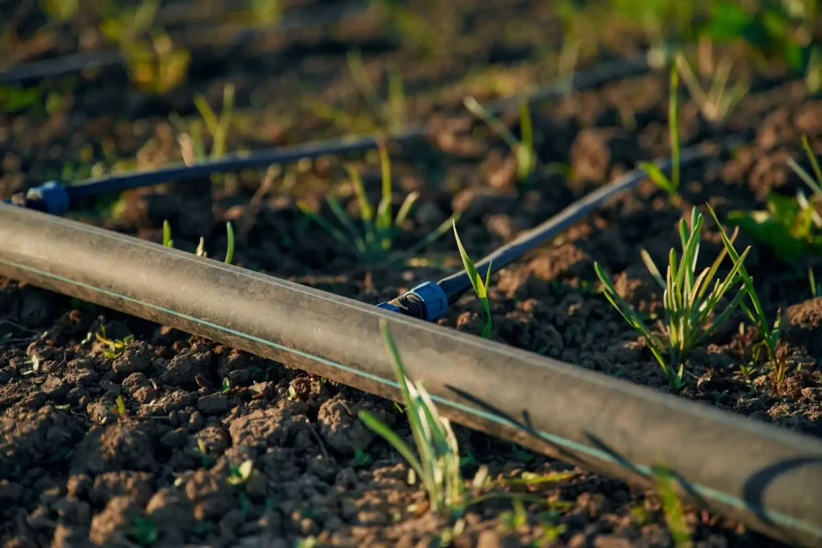 ท่อน้ำชลประทานการเกษตร: ประโยชน์ของท่อและอุปกรณ์ PPR ในระบบชลประทาน | DESO Group